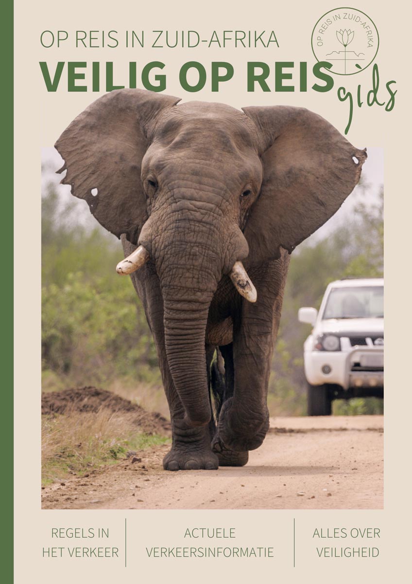Op reis in Zuid-Afrika - Jouw reis naar Zuid-Afrika begint hier